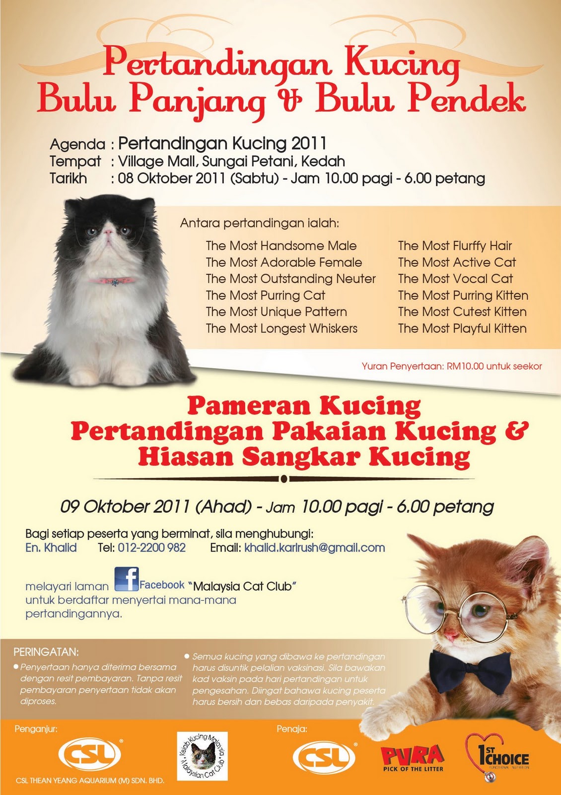 Pertandingan dan Pameran Kucing Cantik | My Dearcats DC