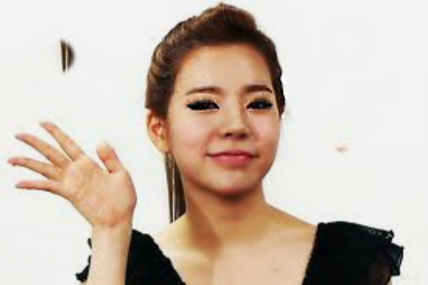 Sone (소녀시대) Elf (슈퍼주니어) Forever~!