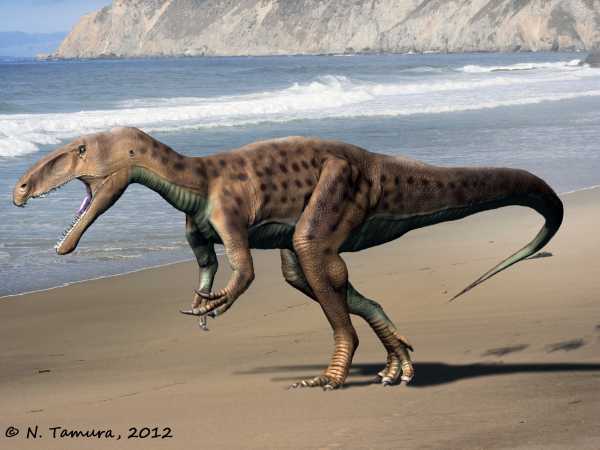 Palaeocritti Blog: December 2013