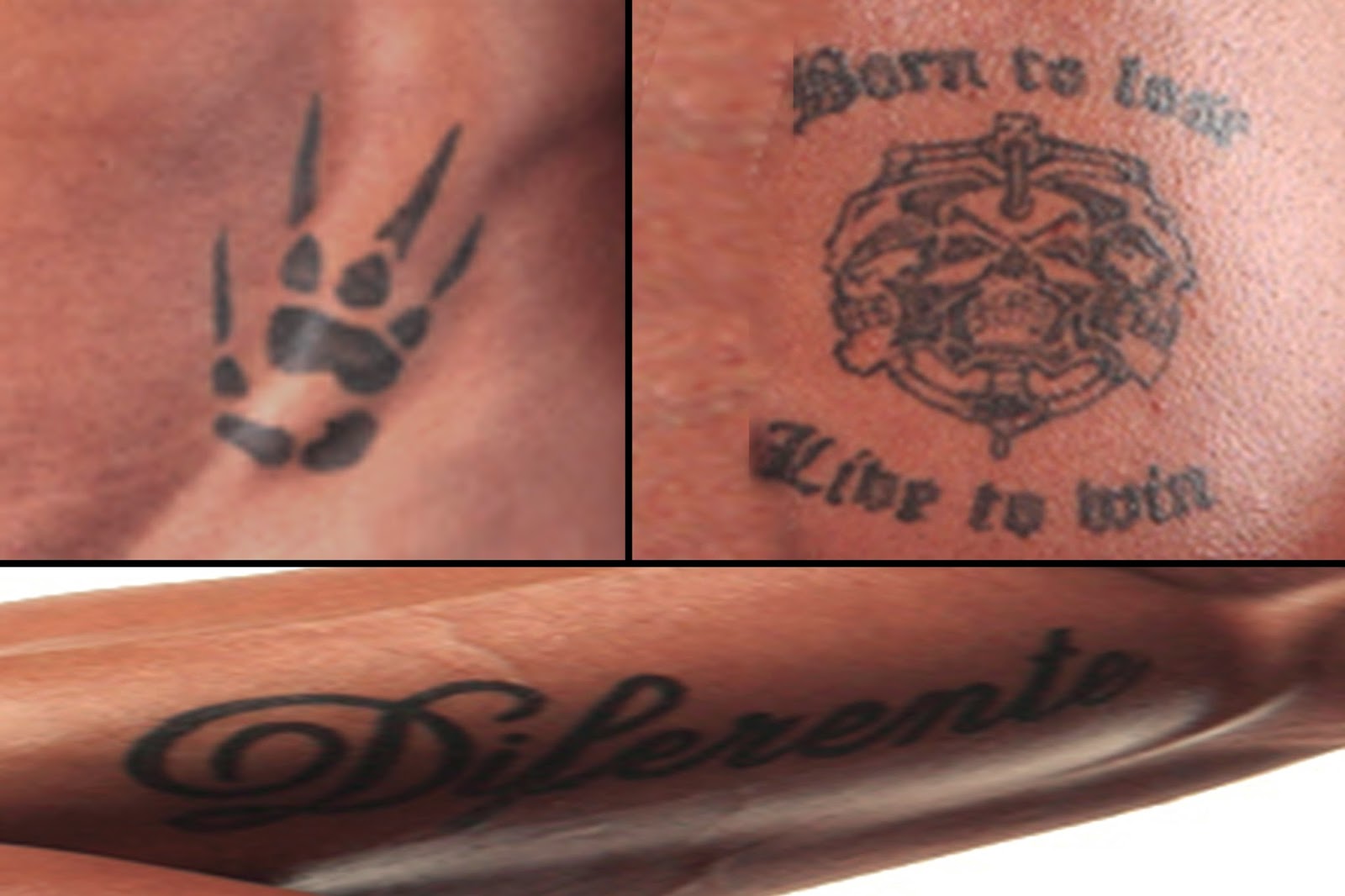 Lazar Angelov Wallpaper HD