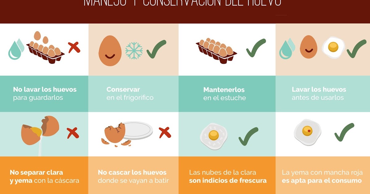 SALUD Y NUTRICIÓN: EL HUEVO EN LA DIETA Y LA SALUD