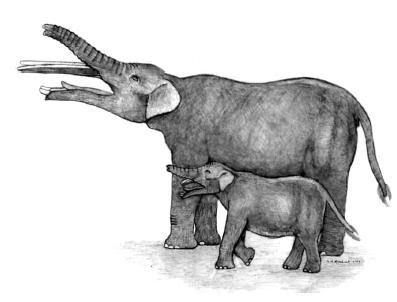 Los animales en la prehistoria: junio 2013