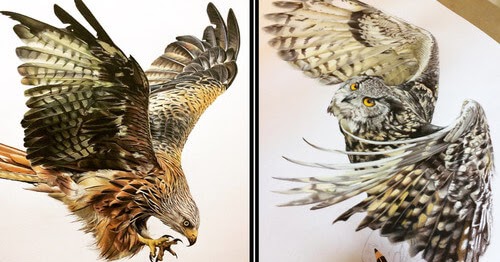 Design Stack: A Blog about Art, Design and Architecture: Wild and ...