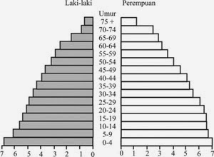 MUDAH BELAJAR IPS SMP : IPS K.8 BAB 2. PERMASALAHAN KEPENDUDUKAN DAN ...