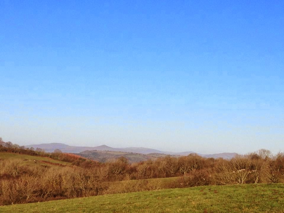 Usk Chirps: Springdale Farm Nature Reserve
