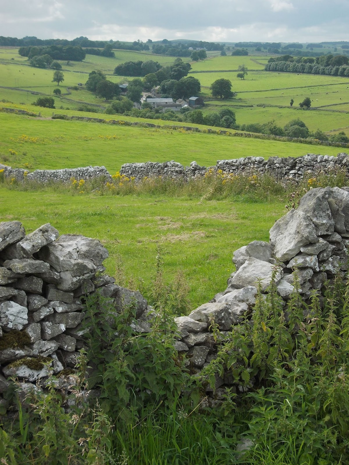 Yorkshire Pudding: August 2013