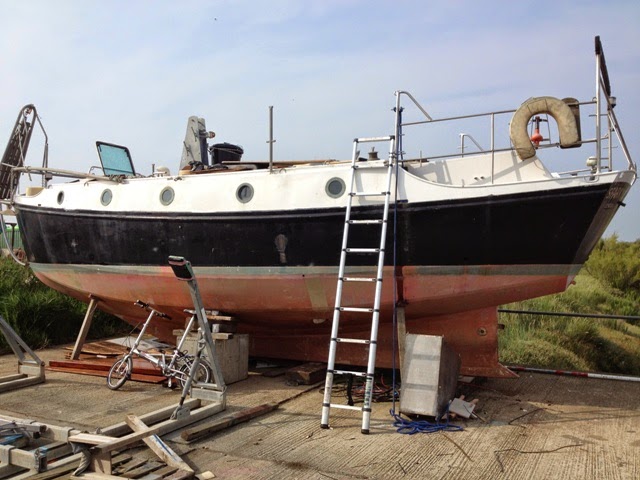 Bill's Log: ‘Sparky’: A Nick Skeates Wylo