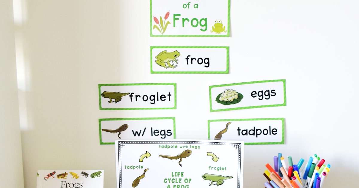Life Cycle of a Frog Learning Activities | The Pinay Homeschooler