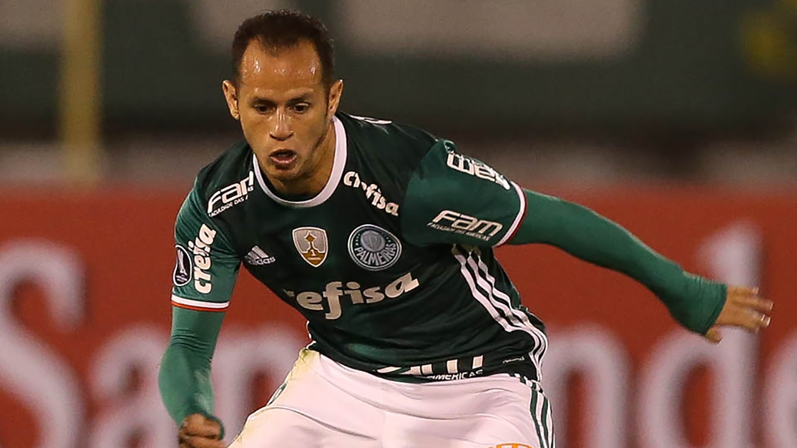 O retorno de Alejandro Guerra no Palmeiras ~ O Curioso do Futebol