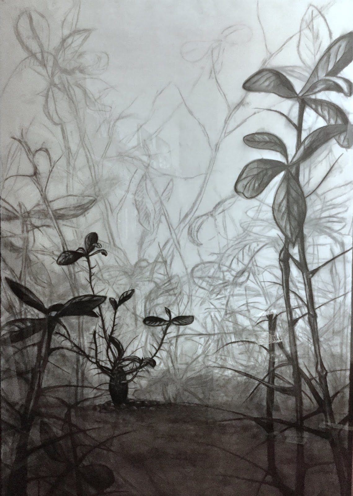 random art & projects