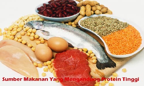 Aneka Resep Masakan Nusantara: Sumber Makanan Yang Mengandung Protein ...