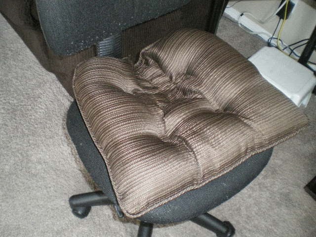 The One Income Dollar: Savings on a Cushion- For Tailbone Pain