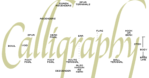 Symbols And Such: CALLIGRAPHY VISUAL TUTORIAL