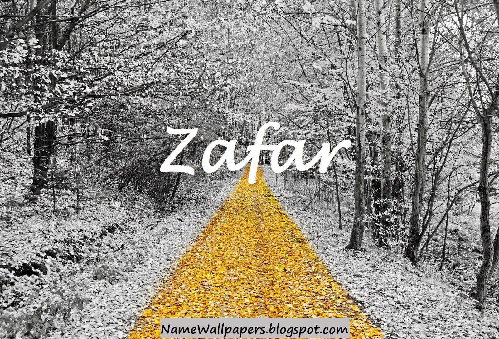 Zafar Name Wallpapers Zafar ~ Name Wallpaper Urdu Name Meaning Name ...