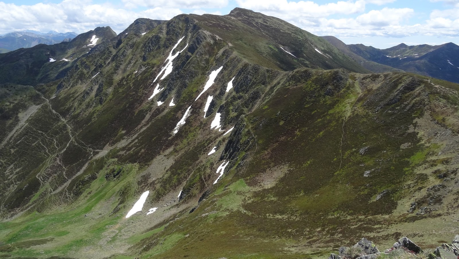 Pico Cogollo Cebolledo
