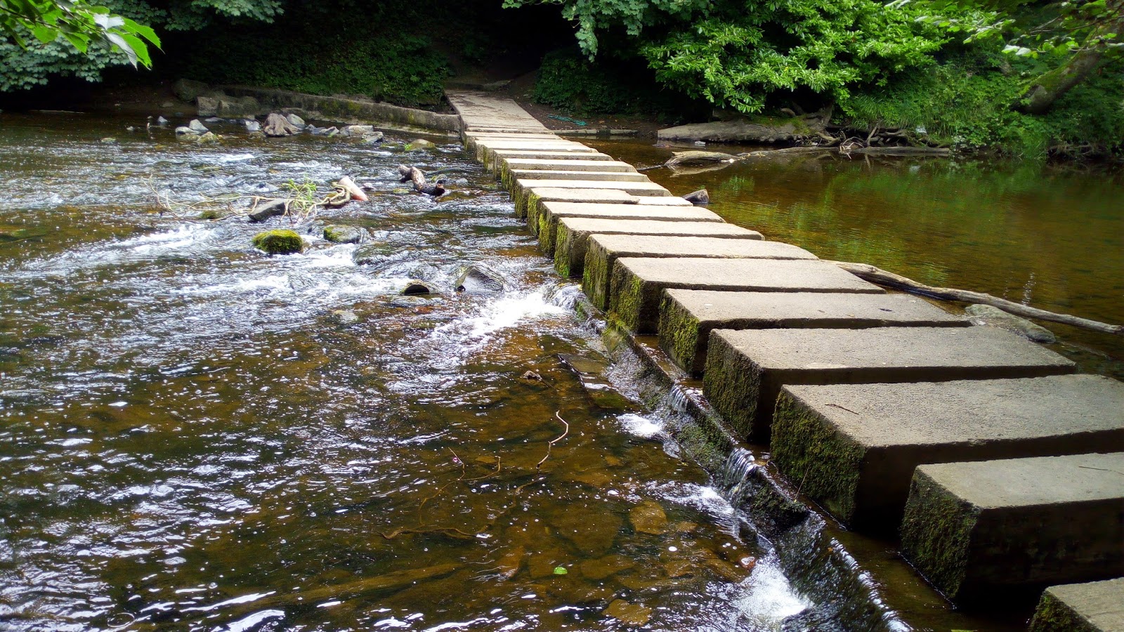 The Happy Adventures of Blob Thing: Blob Thing And Winefride Find The ...