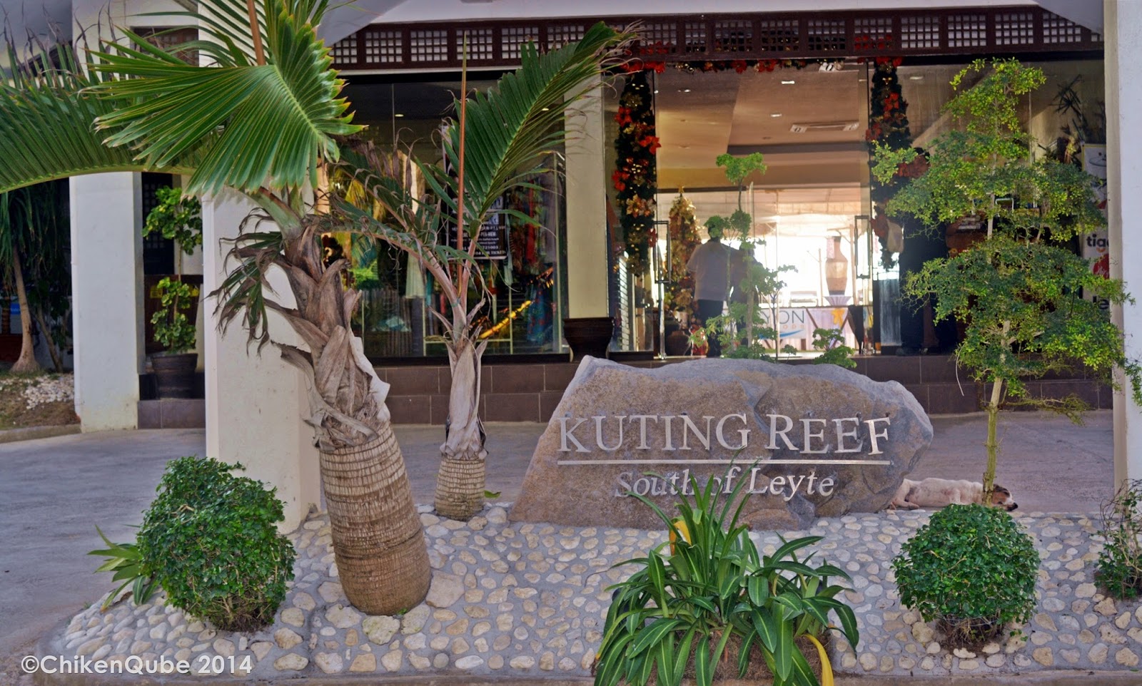 Kuting Reef: A Quiet Escape! | Definitely PINOY!