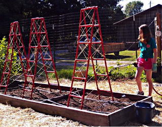 Garden Musings from Memphis Area Master Gardeners: PAR Davies ...