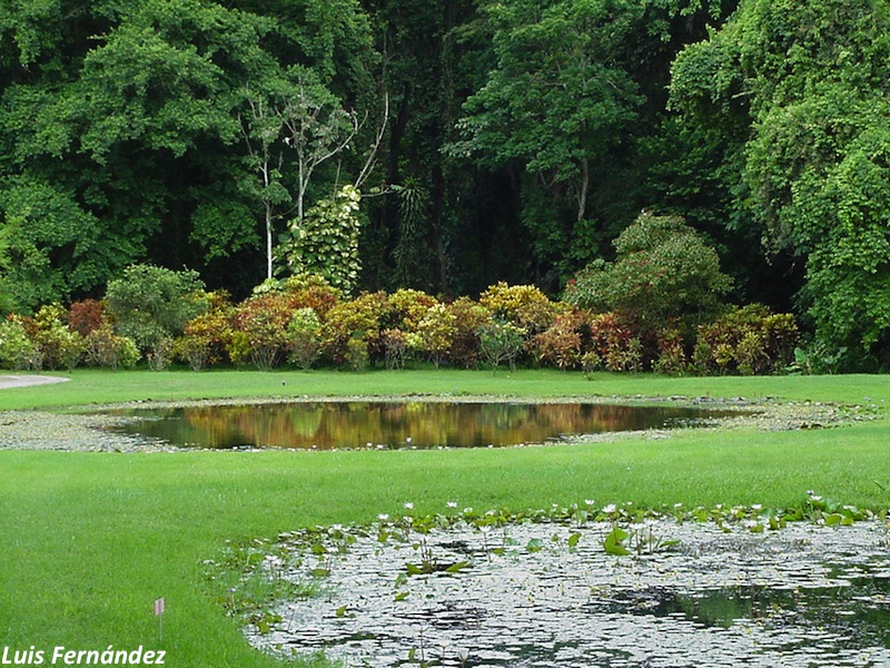 Mi viaje a Itaca: Yaracuy