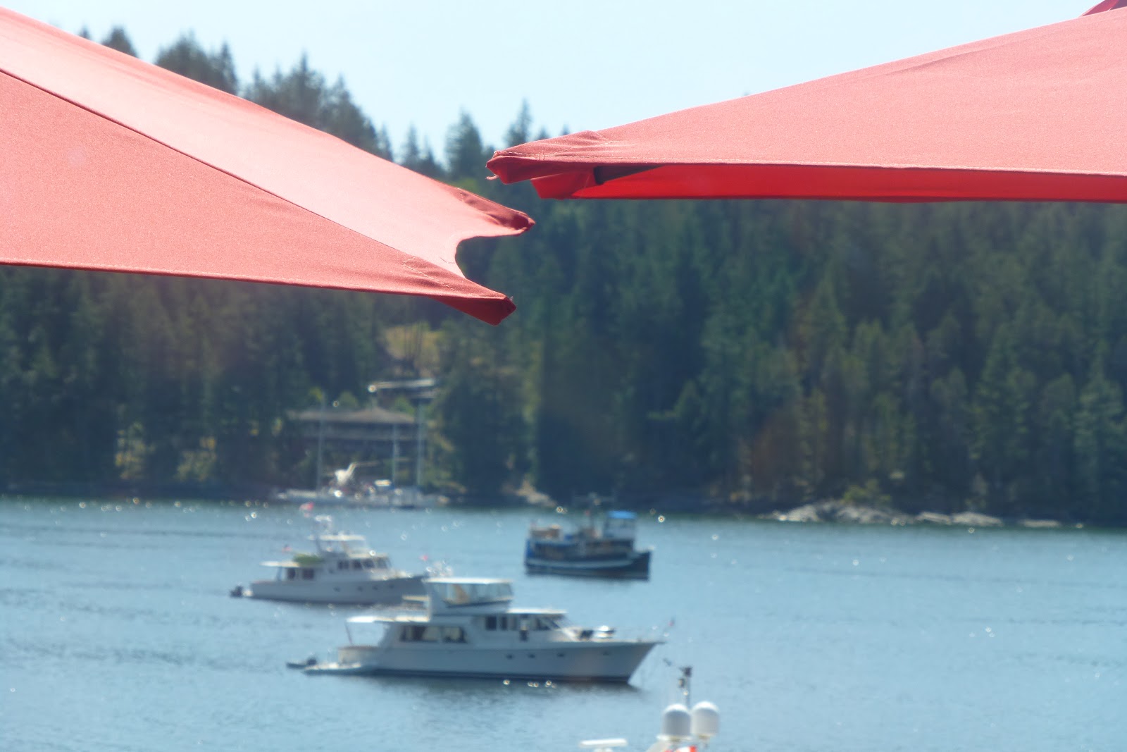 Cruising on the MV Lillian Belle