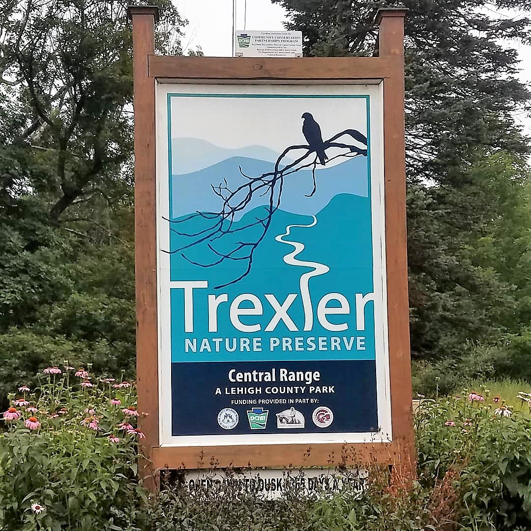 Perry's Trails: Hey Look, I finished A Race - My Quadzilla 15K Race Report