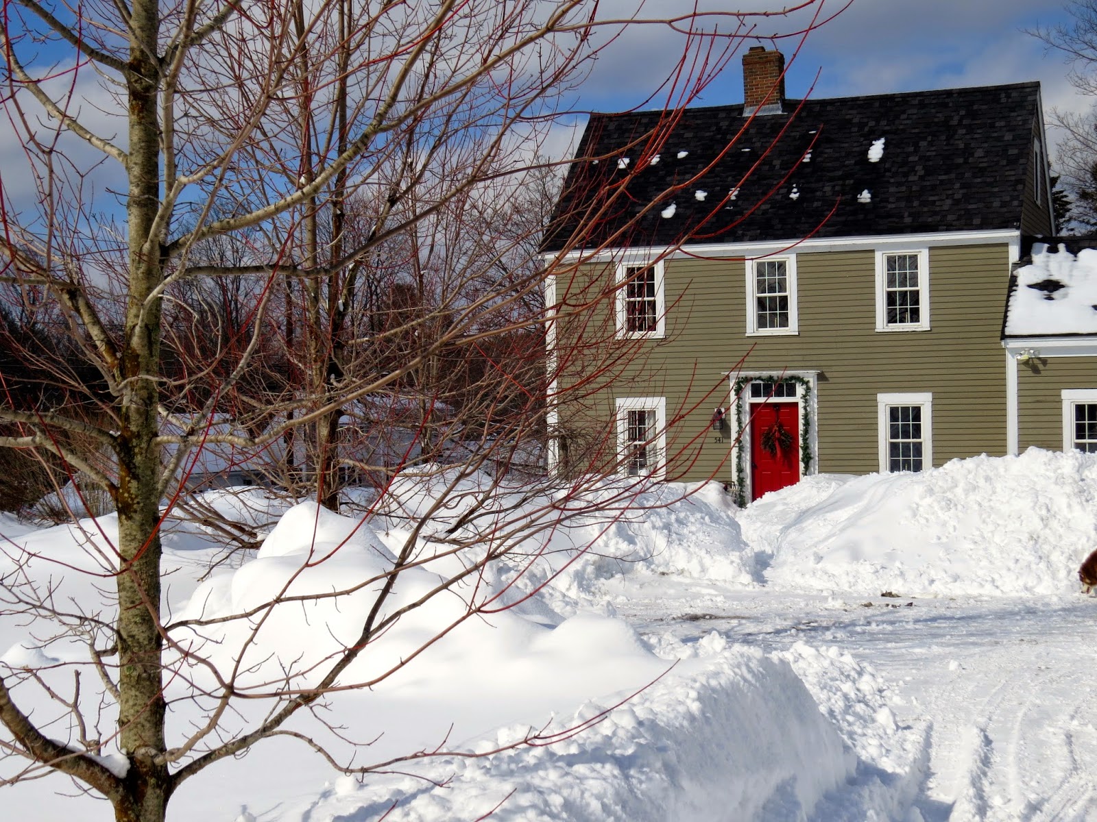 The Long Awaited Home: Winter at Home