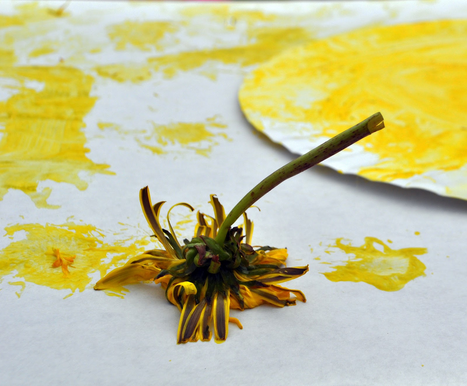 The Little Legers: Dandelion Flower Prints