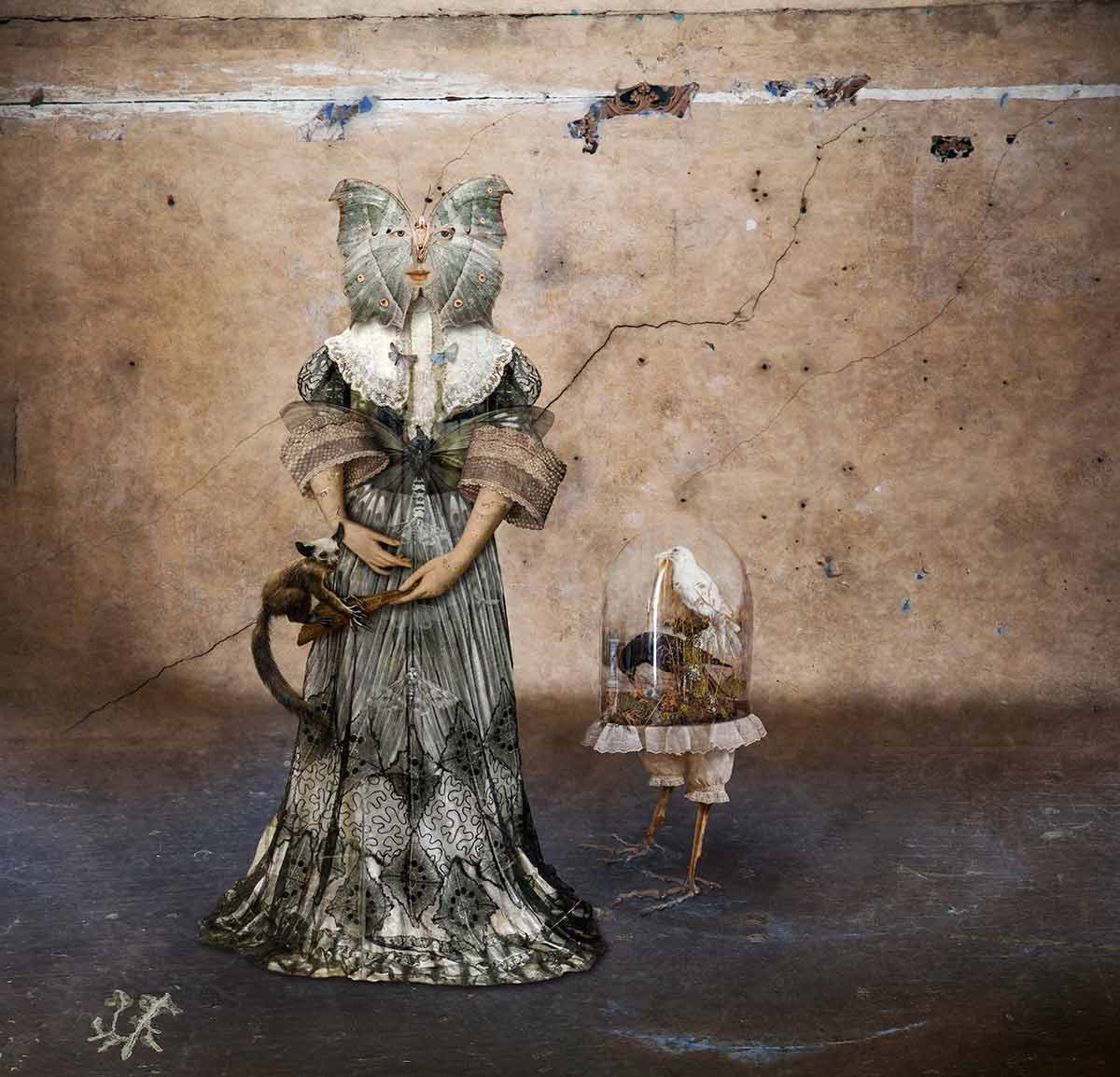 Paul Biddle Photographer