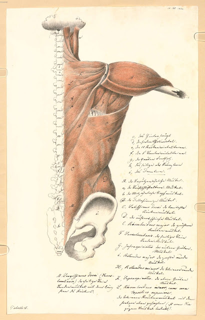 facsimilium: May 2012