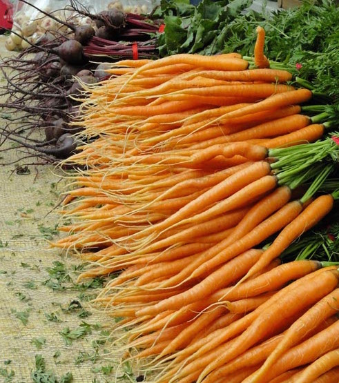 Asian Carrot Slaw - Recipes To The Rescue Blog - For The Everyday Cook