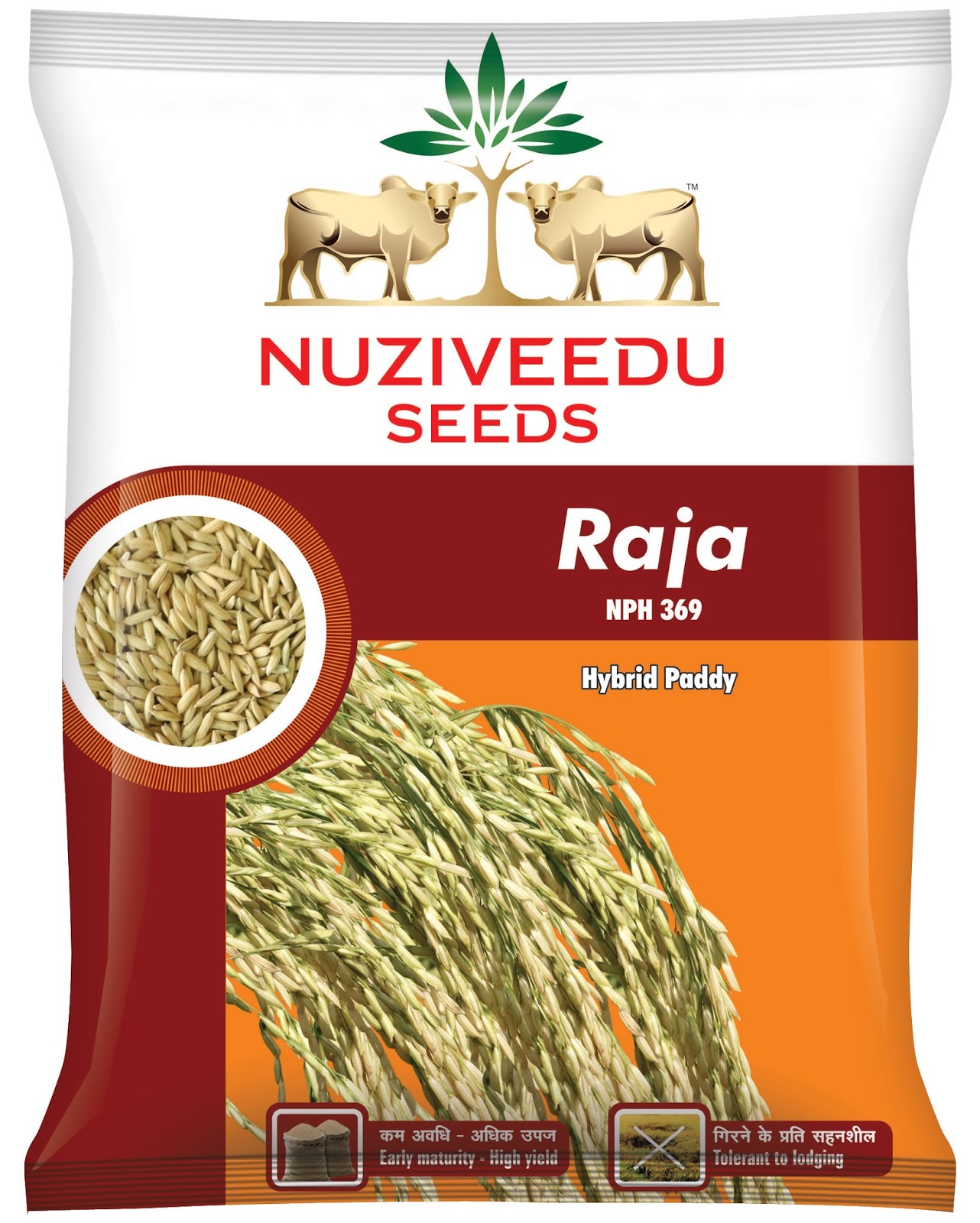 NSL Products: NPH-369 Raja