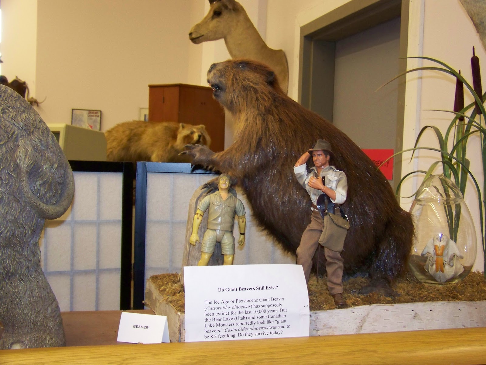 Chris LaMay-West, writer in Vermont: Greetings from the International ...