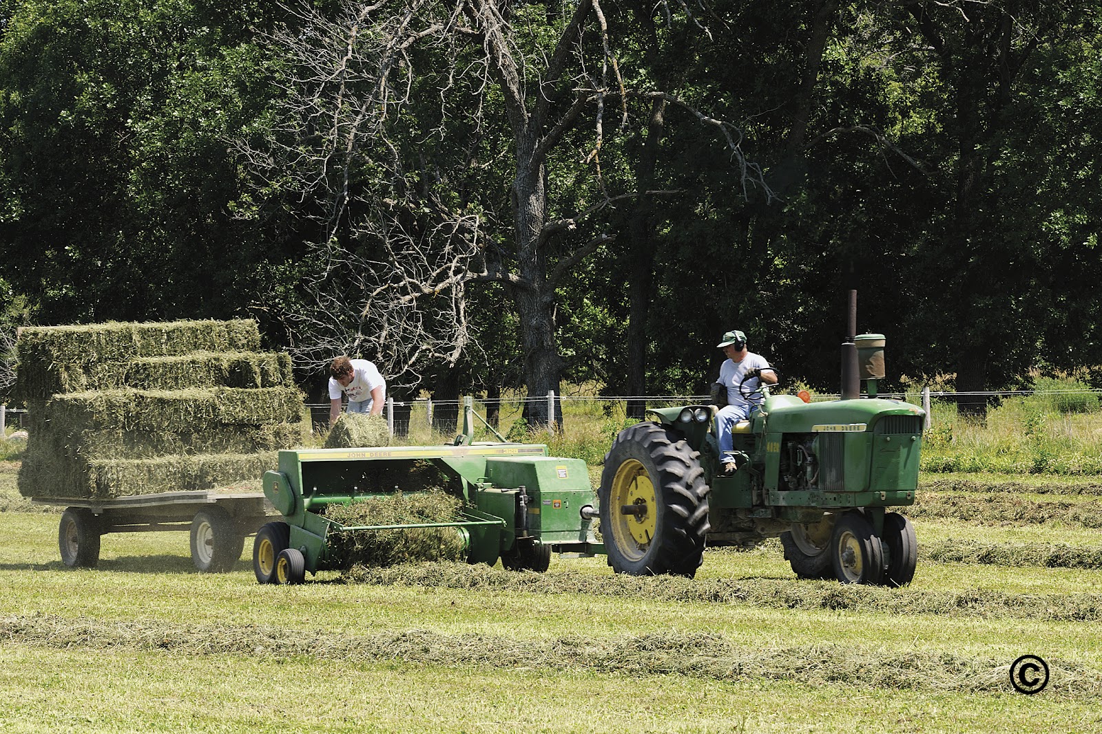 Premier Farm Diary: Making Small Squares