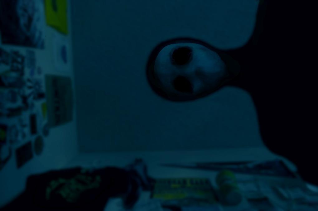 Divinorum Psychonauticus: Demon Sheets: Sleep Paralysis Theories