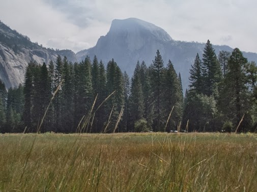 Discover the West: Sentinel Meadow & Cook's Meadow Loop