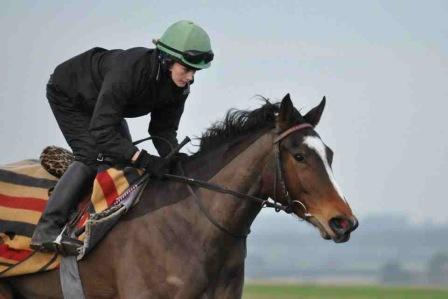 Julia Feilden Racing: Stable life