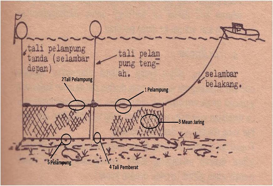 all in one by ince: (Edukasi) Gill Net