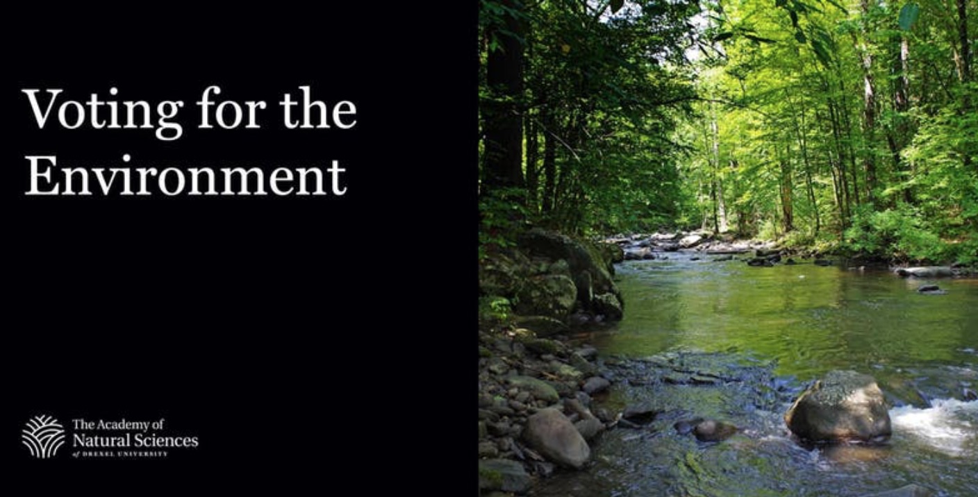 PA Environment Digest Blog: Academy Town Square Hosts Voting For The ...