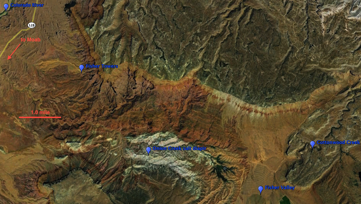 In the Company of Plants and Rocks: Paradox Exposed