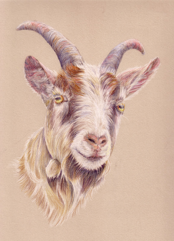 Monk Fryston Art Club: Barbara Phillips club member profile