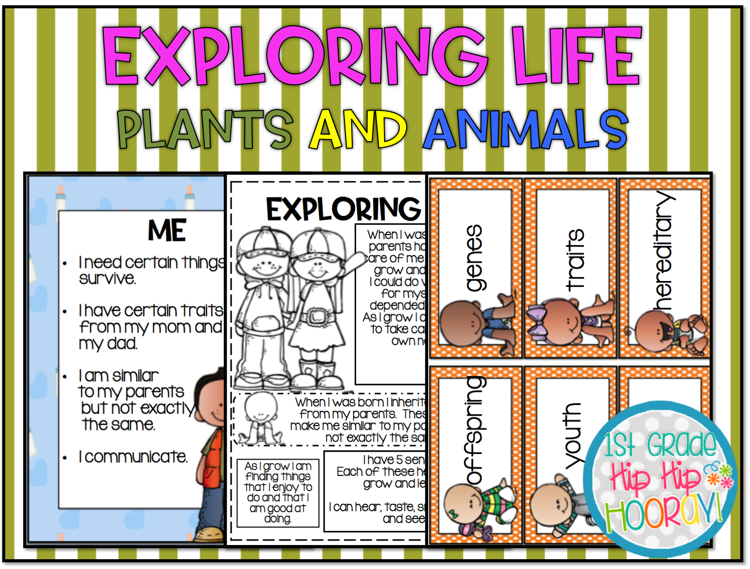 1st Grade Hip Hip Hooray!: Exploring Plants and Animals...NGSS