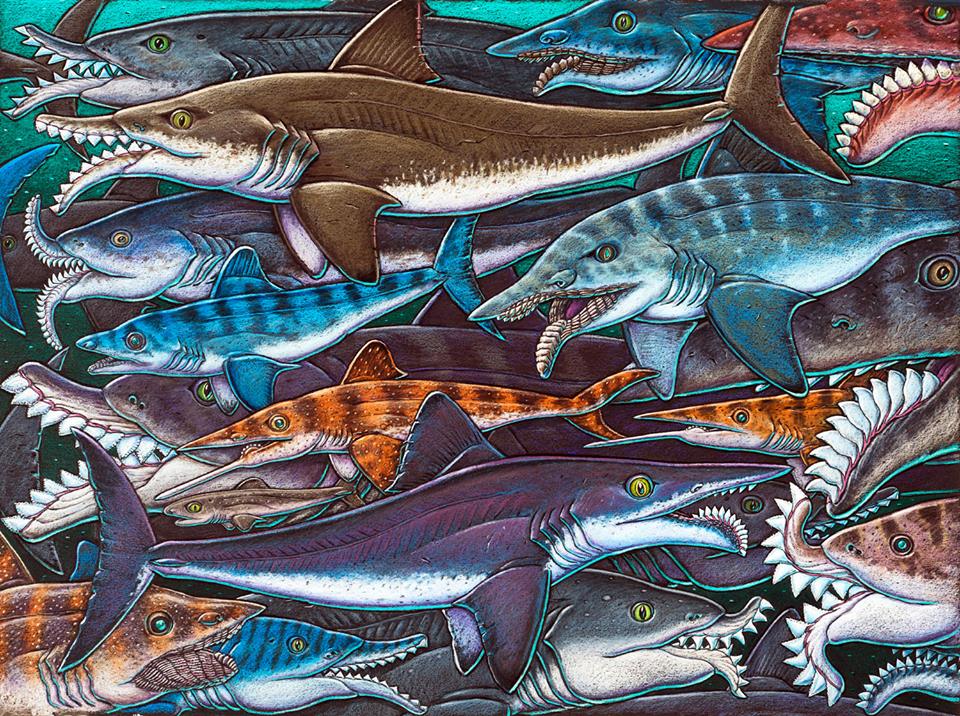 AGATHAUMAS: Ray Troll: Eugeneodontida