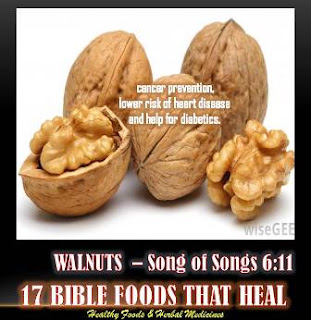 17 BIBLE FOODS THAT HEAL: WALNUTS – Song of Songs 6:11