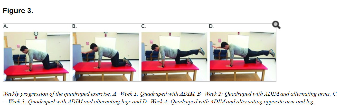 Quadruped Exercise Progression