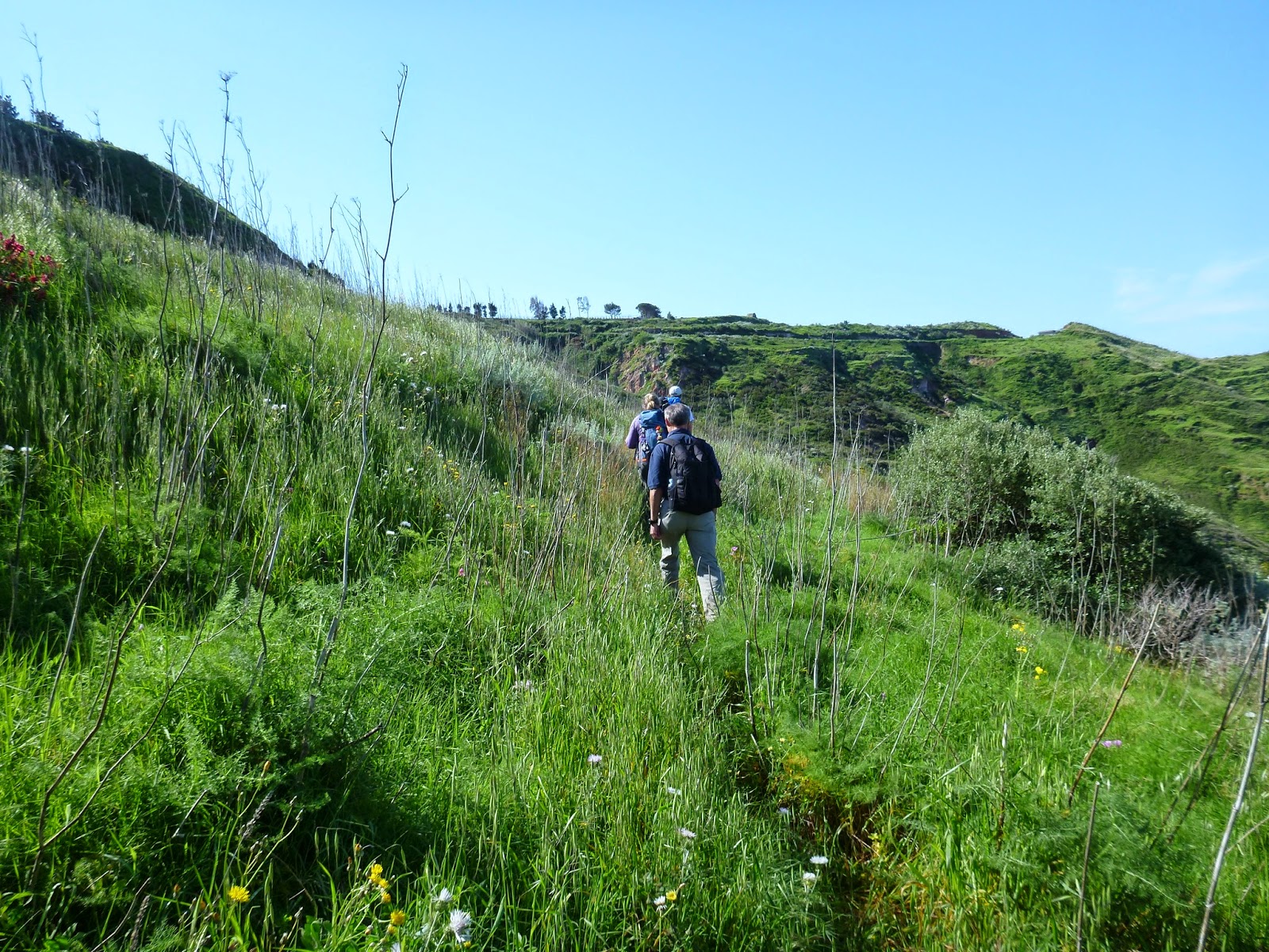 The Path of Adventure