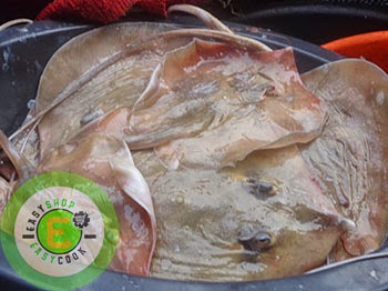 iFoodS - Initiative for Food Safety: MAKOKO FISH MARKET - Sharks ...