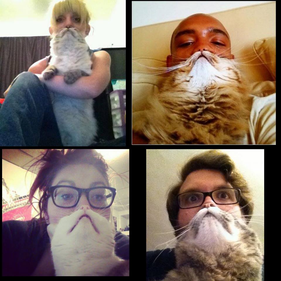 Gary Michaels Blog: "Cat-Bearding" - The Latest and Greatest Trend?