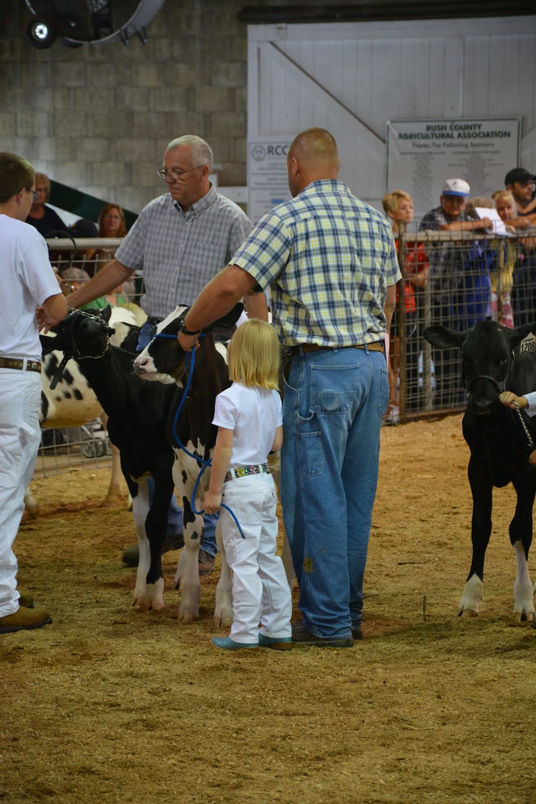 This Farm Family's Life: A Week of Fun at the County Fair...