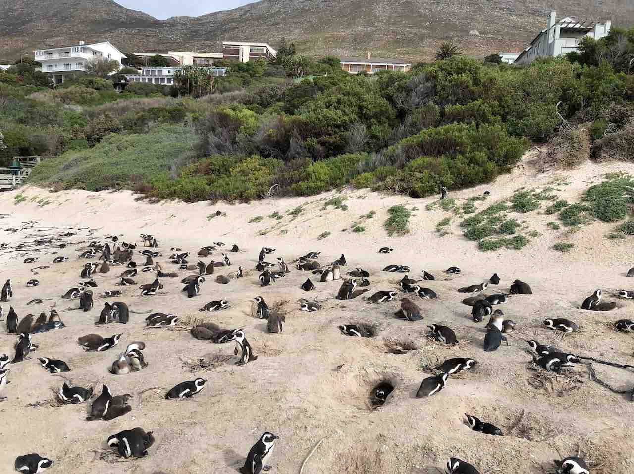 An African caper - Broadsword by Ajai Shukla - Strategy. Economics ...