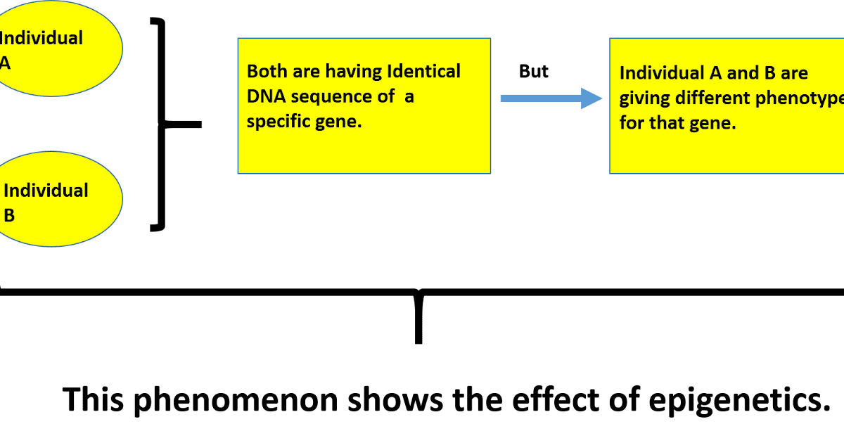 Epigenetics Wikipedia